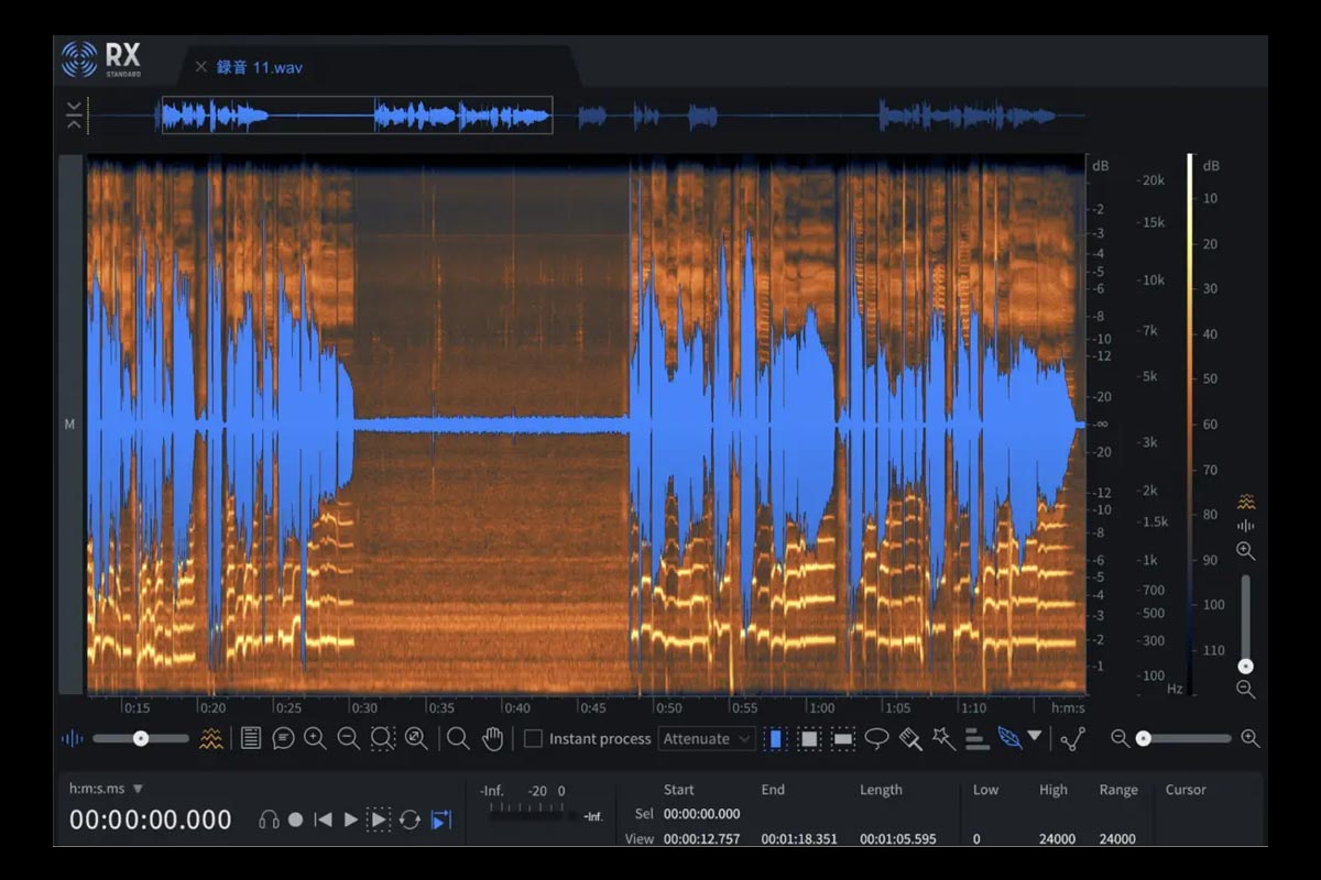 【レビュー】iZotope RX11 standardを実際に使ってみた | ボーカル、クチャ音＆壁の反響除去